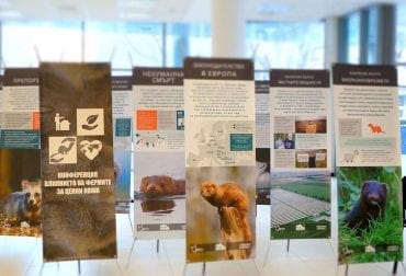 Fur Free Alliance - Working together towards a fur free world