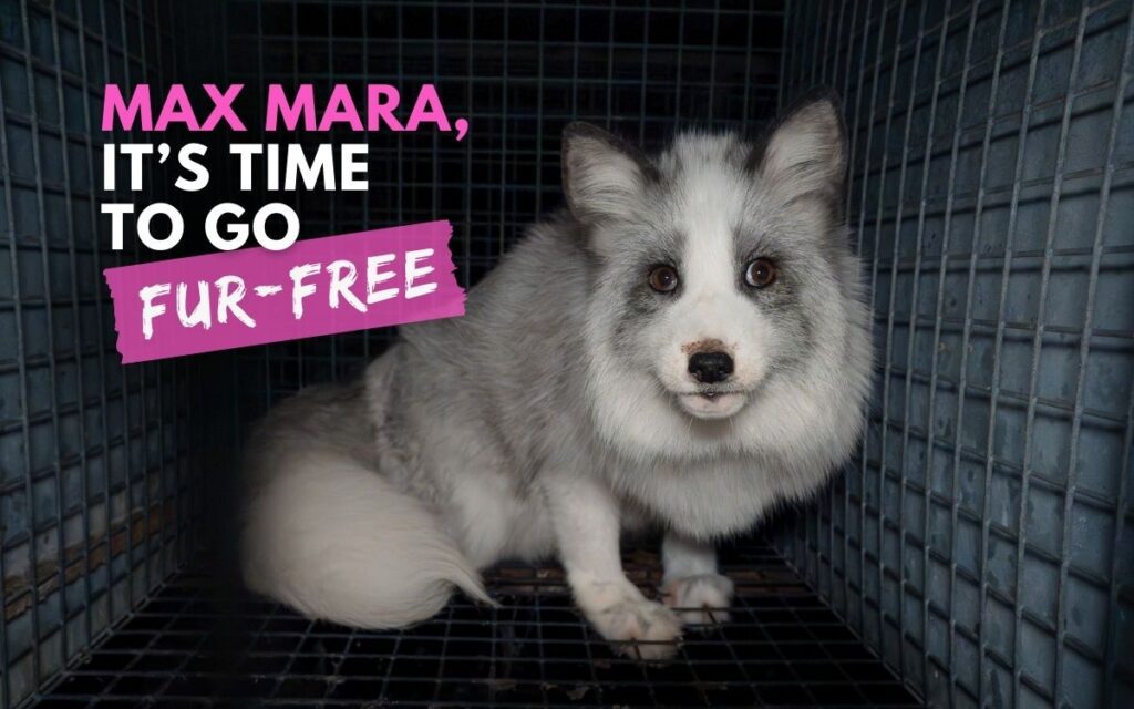 Fur Free Alliance - Working together towards a fur free world